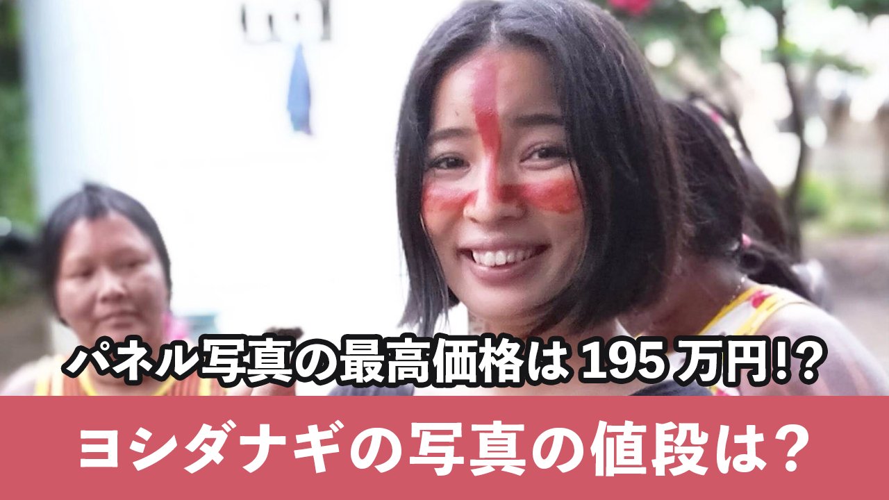 ヨシダナギの写真の値段は?パネル写真の最高価格は195万円!?